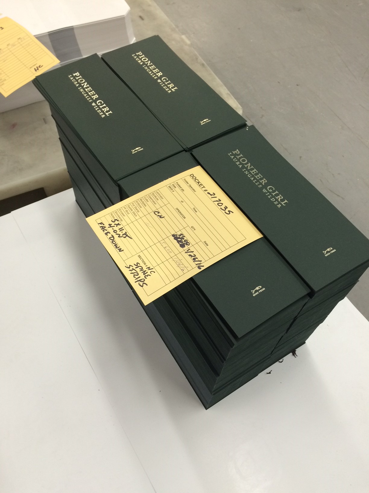 spine strips | The Pioneer Girl Project